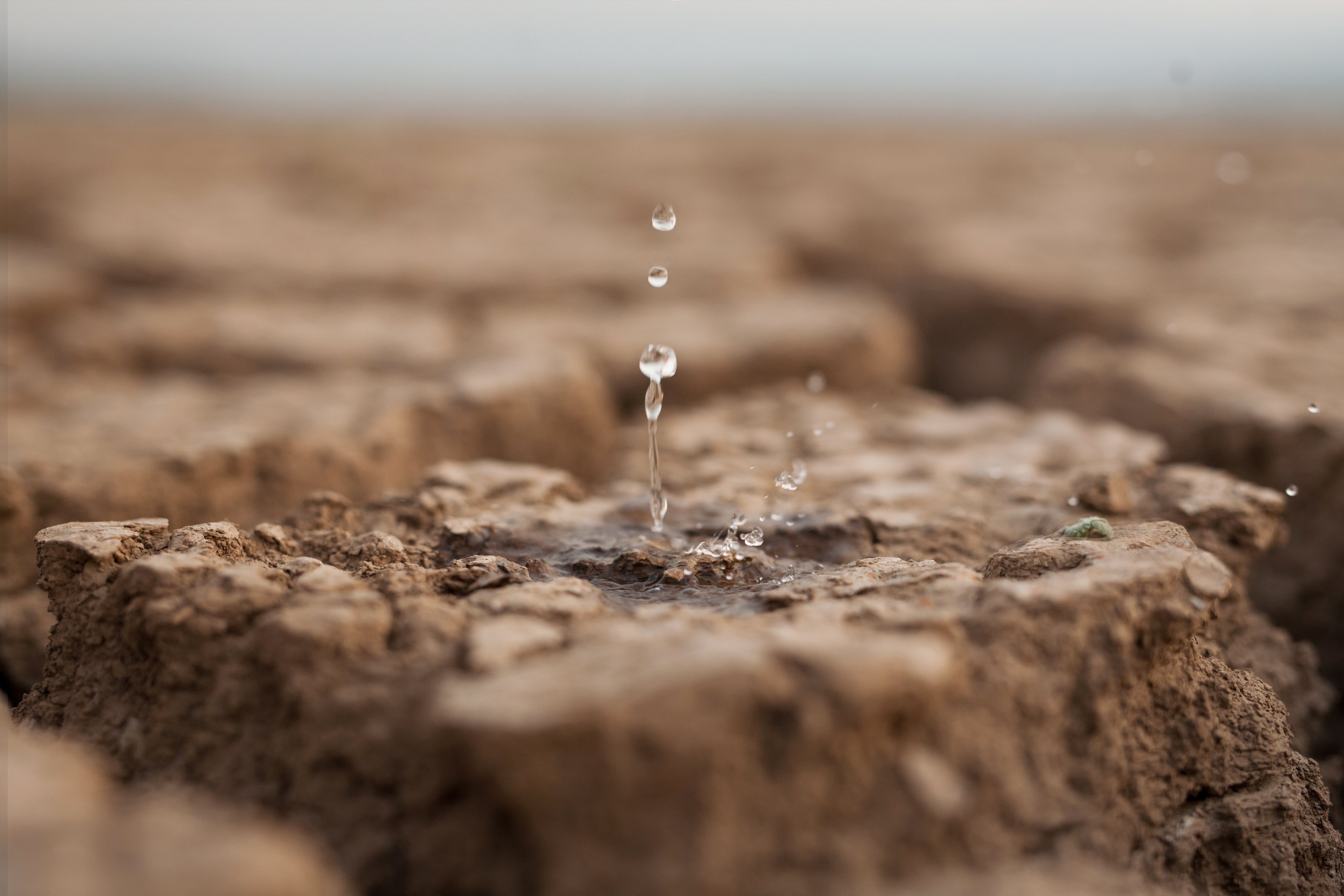 Shifting from climate mitigation to adaptation & resilience | Earth Finance