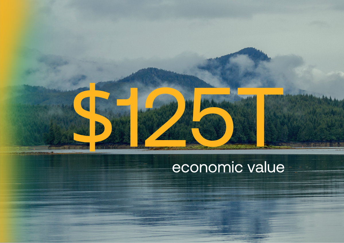 Nature-positive business strategy: Why and how | Earth Finance