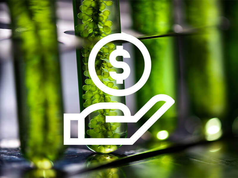 Who we serve - ClimateTech | Earth Finance