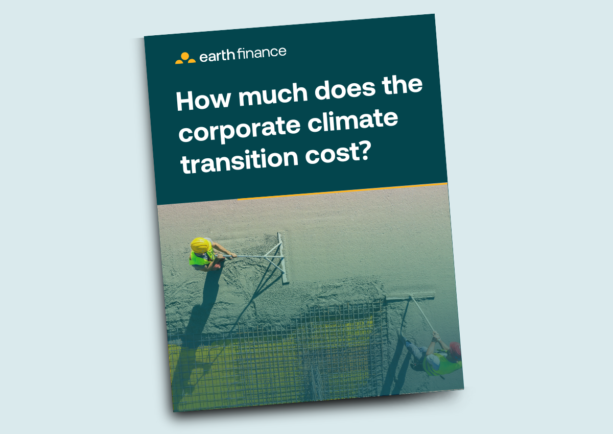 How much does the corporate climate transition cost | Earth Finance