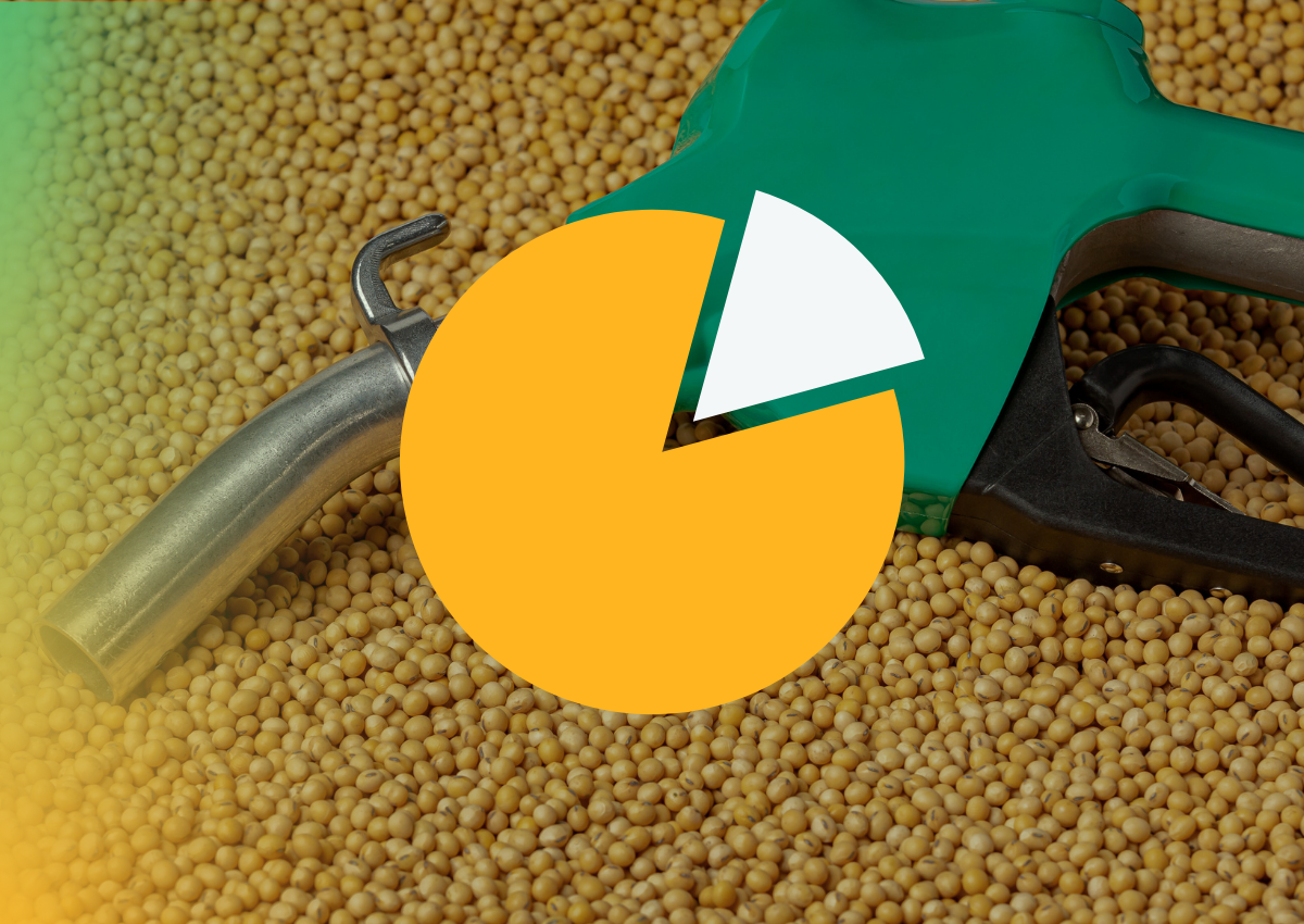 Renewable fuels and transport decarbonization | Earth Finance