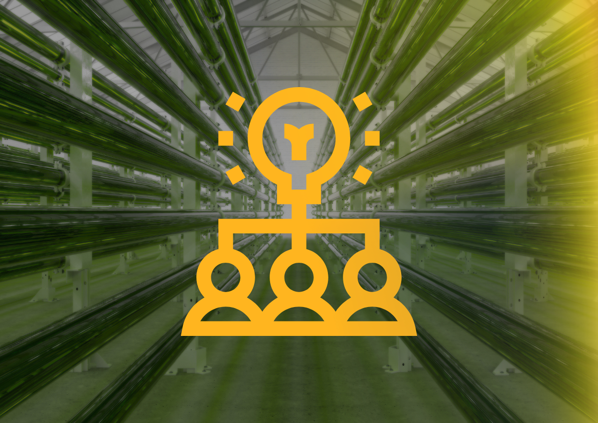 The power of coalition building in accelerating the renewable fuels ...